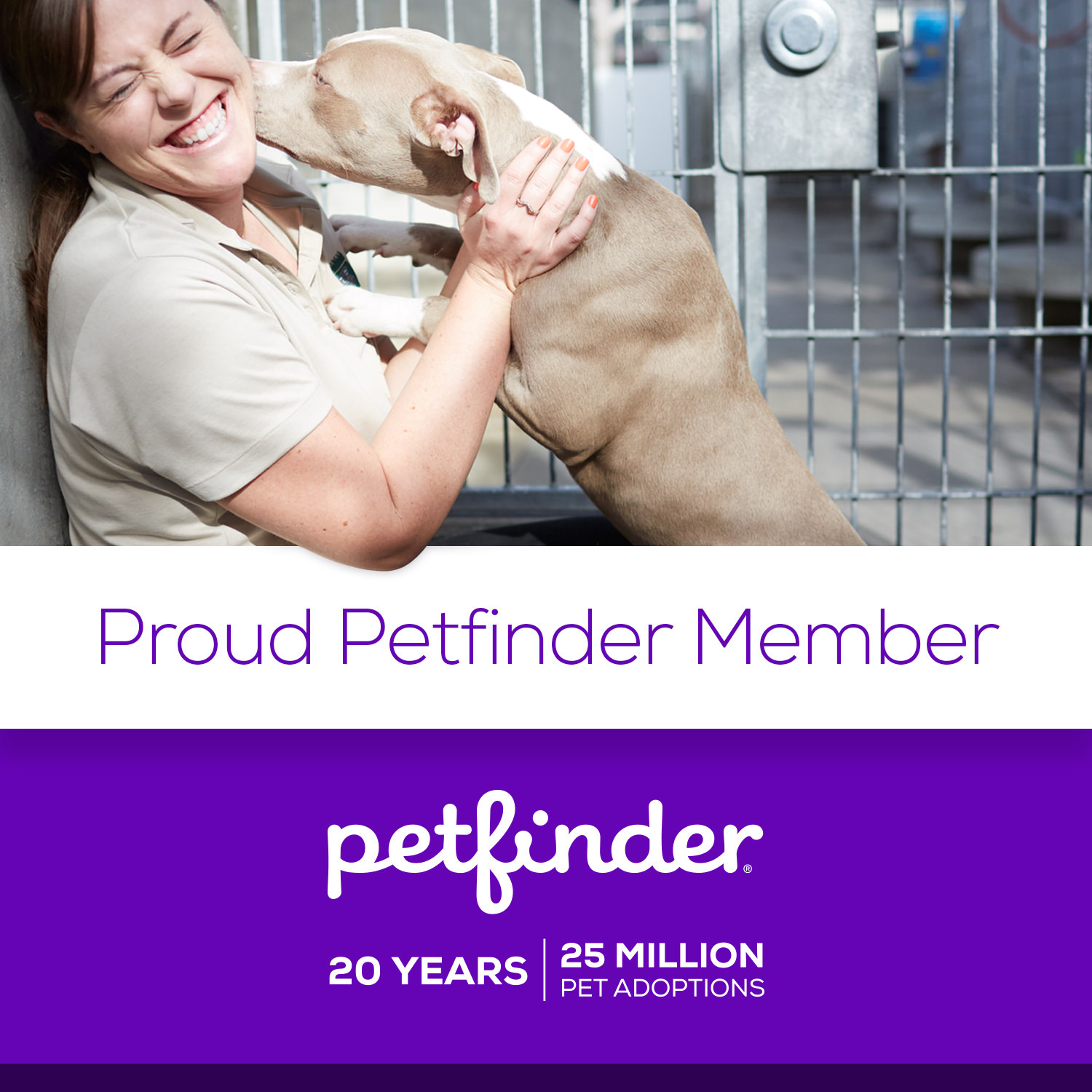 Home Page [akitarescue.rescuegroups.org]