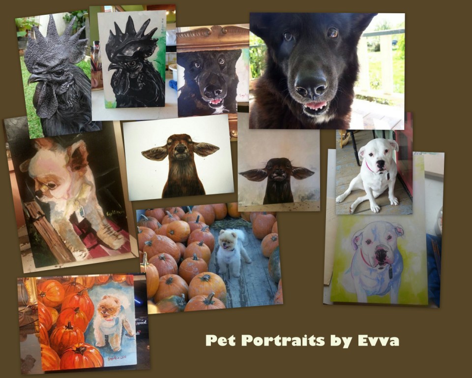 Donation Information