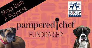 Houston Boxer Rescue