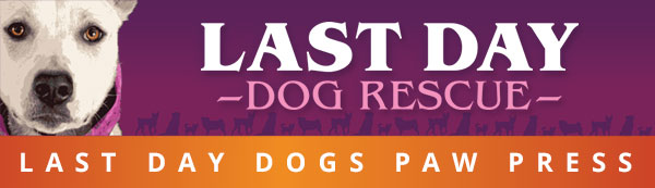 Happy Howlidays: December 2013 LDDR Newsletter