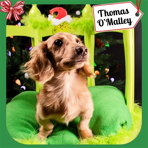 Welcome [www.ddrtx.org]