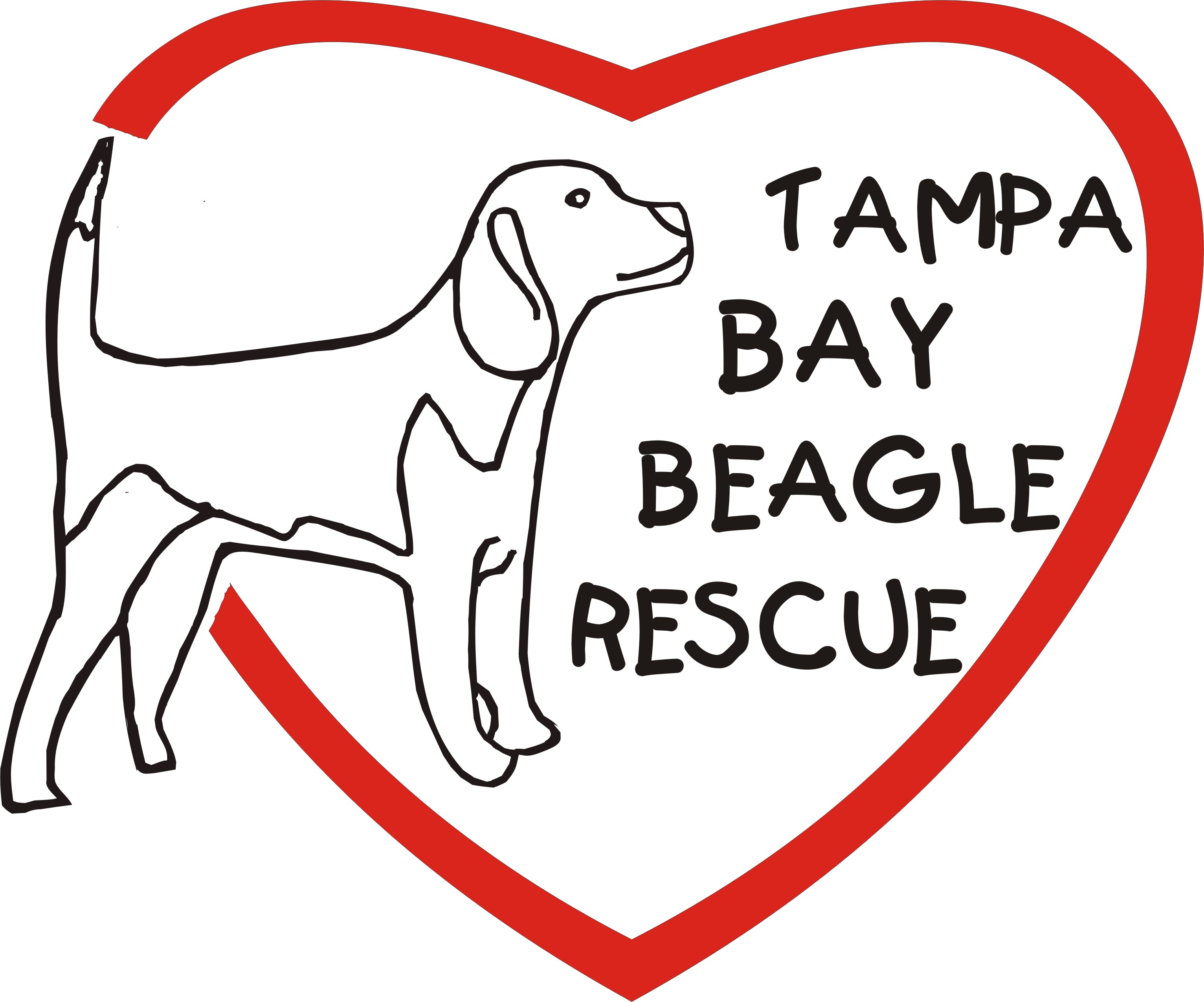 Welcome to Tampa Bay Beagle Rescue