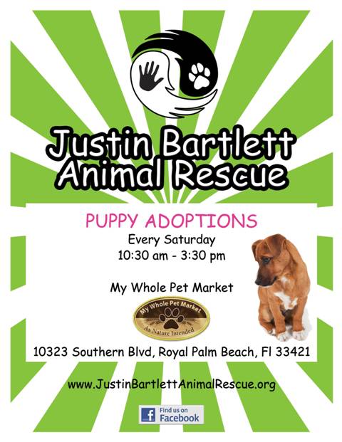 Welcome [www.justinbartlettanimalrescue.com]