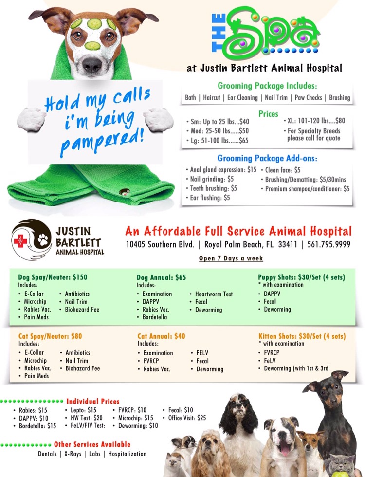 Welcome [justinbartlettanimalrescue.com]
