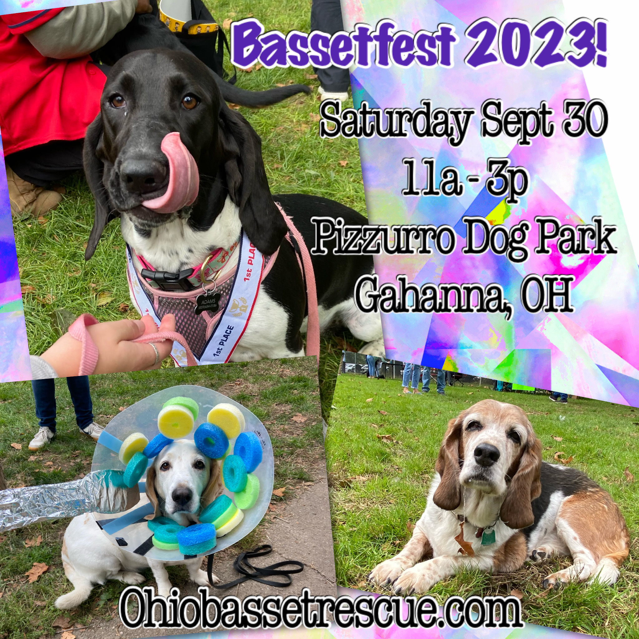 BassetFest
