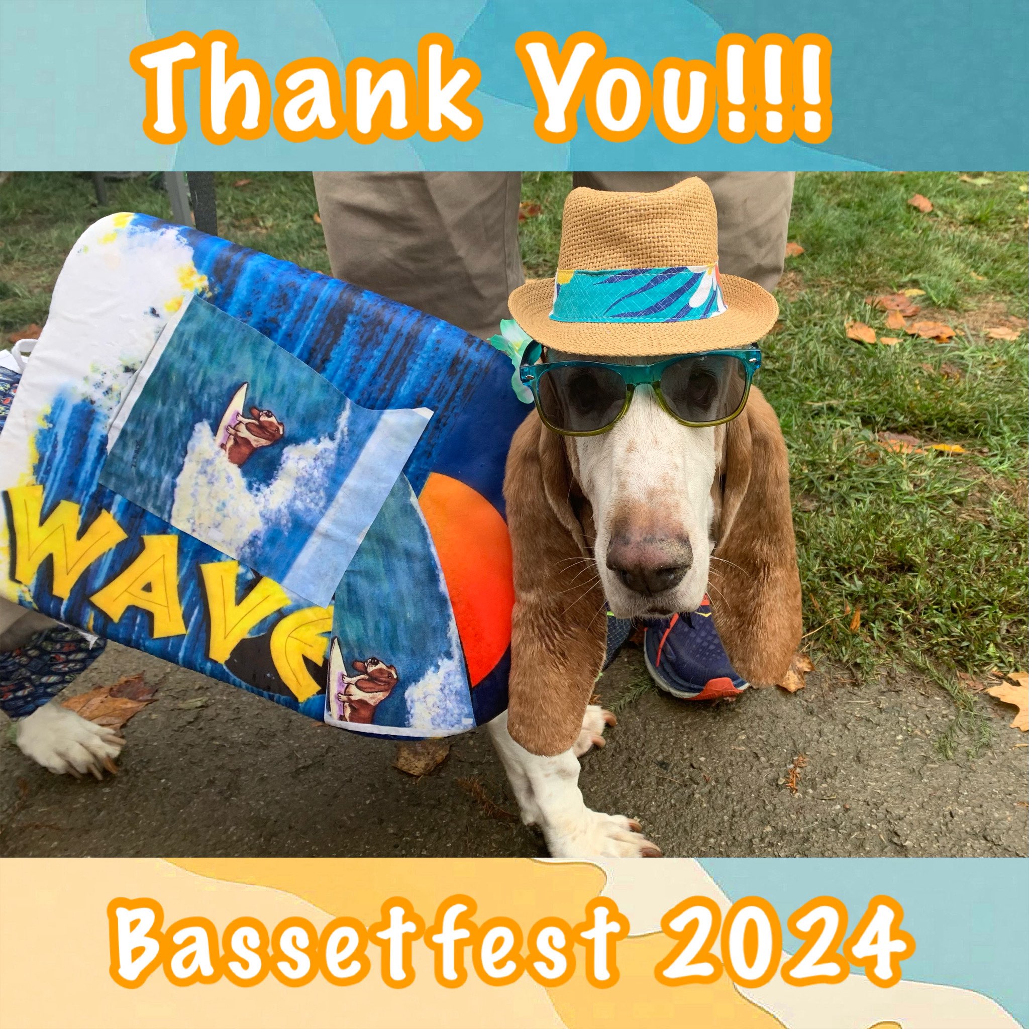 BassetFest