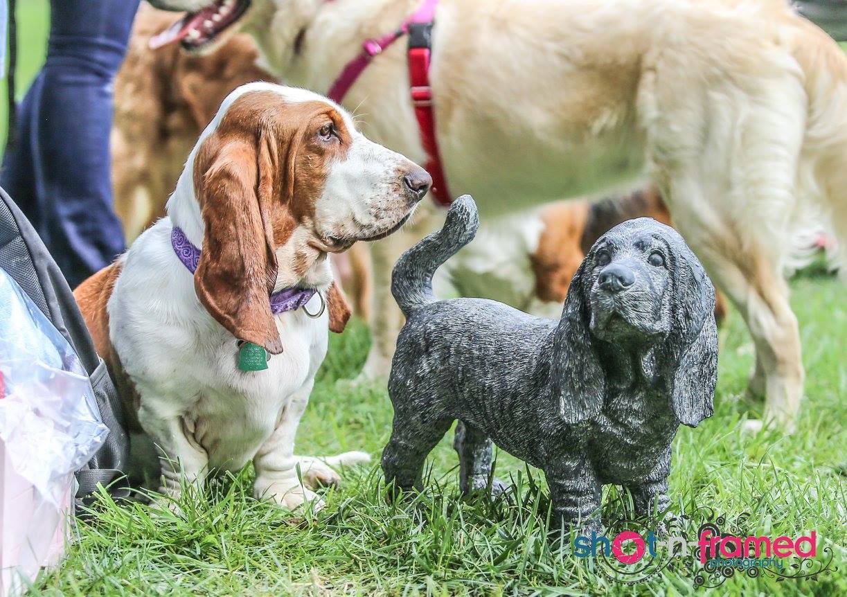 BassetFest