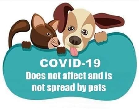 Our Last Hope Animal Rescue