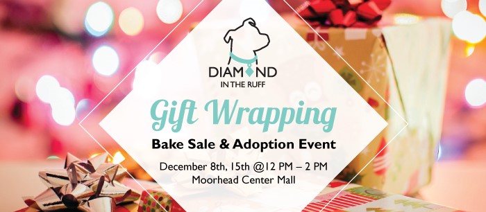 Diamond in the Ruff Pet Rescue