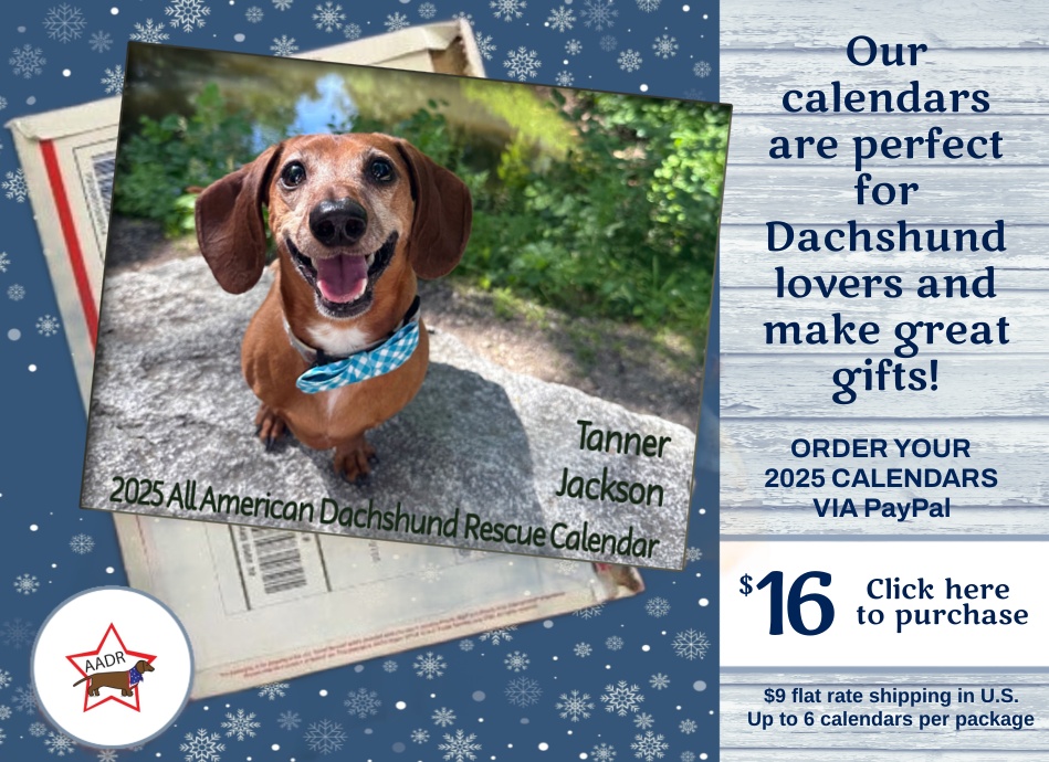 All American Dachshund Rescue