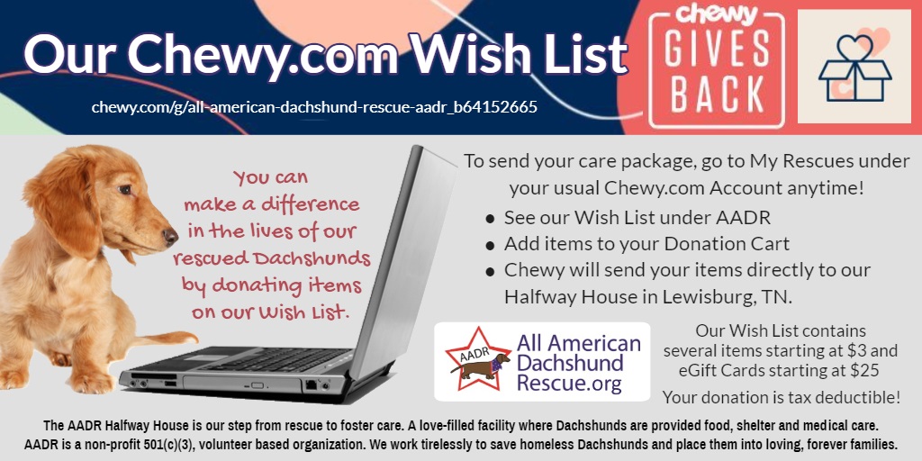 All American Dachshund Rescue