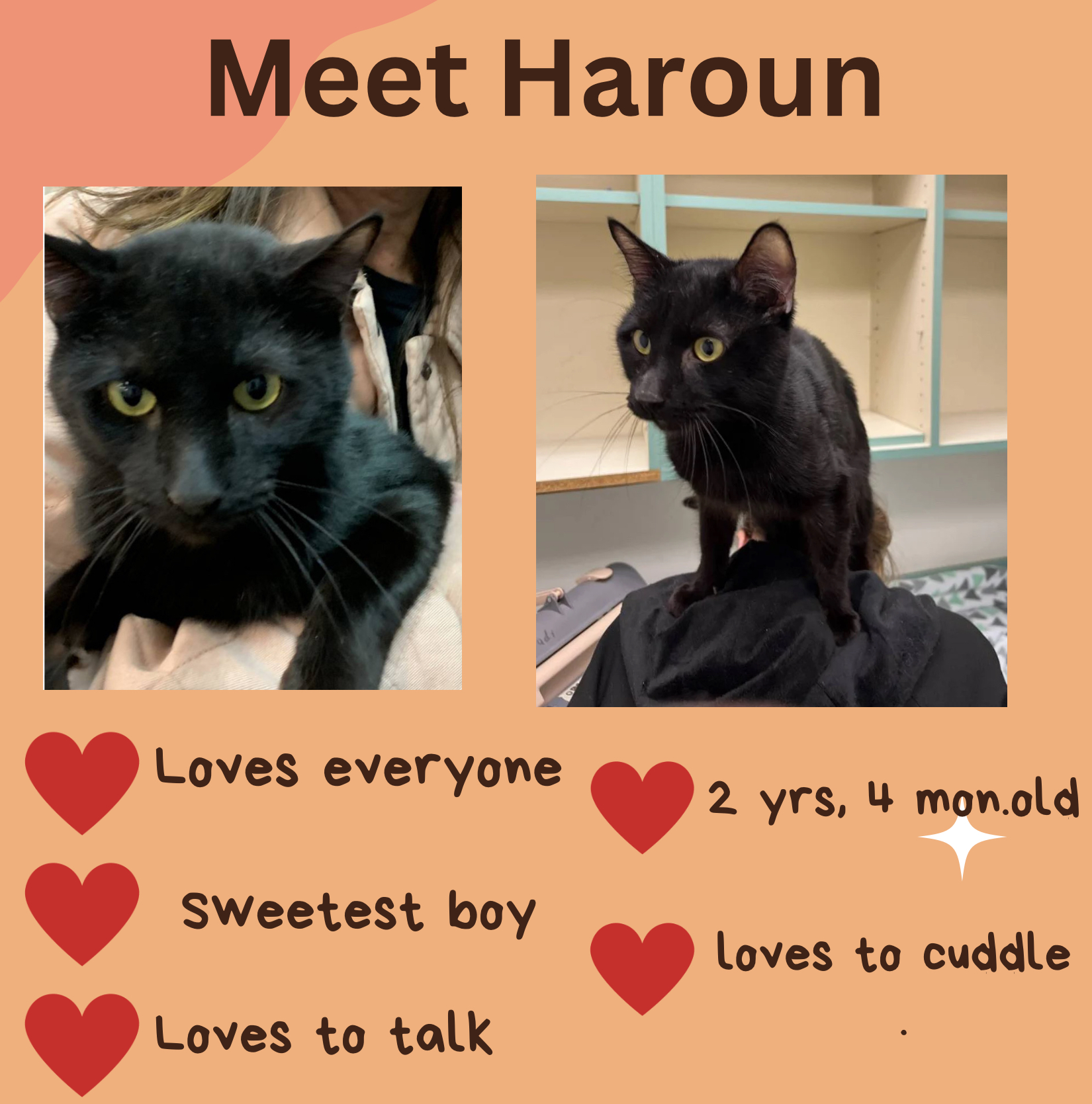 Welcome [www.locrami.com]