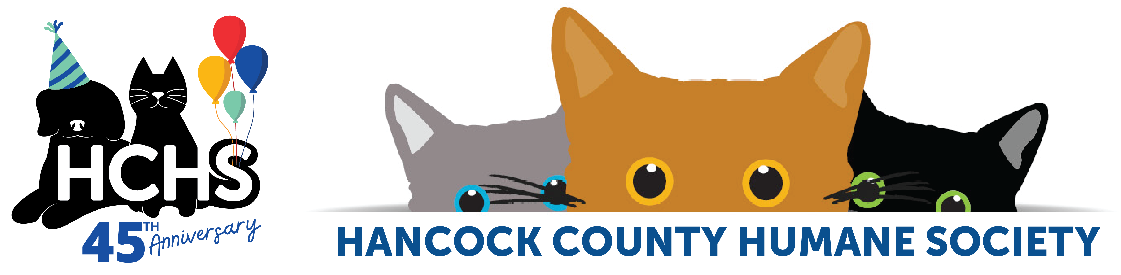 Who We Are | What We Do