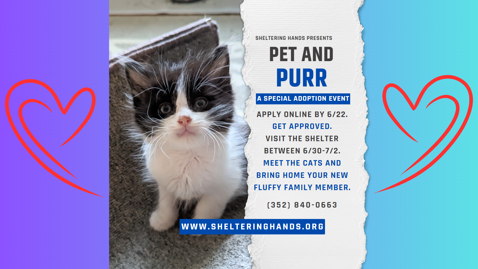 Welcome [www.shelteringhands.org]