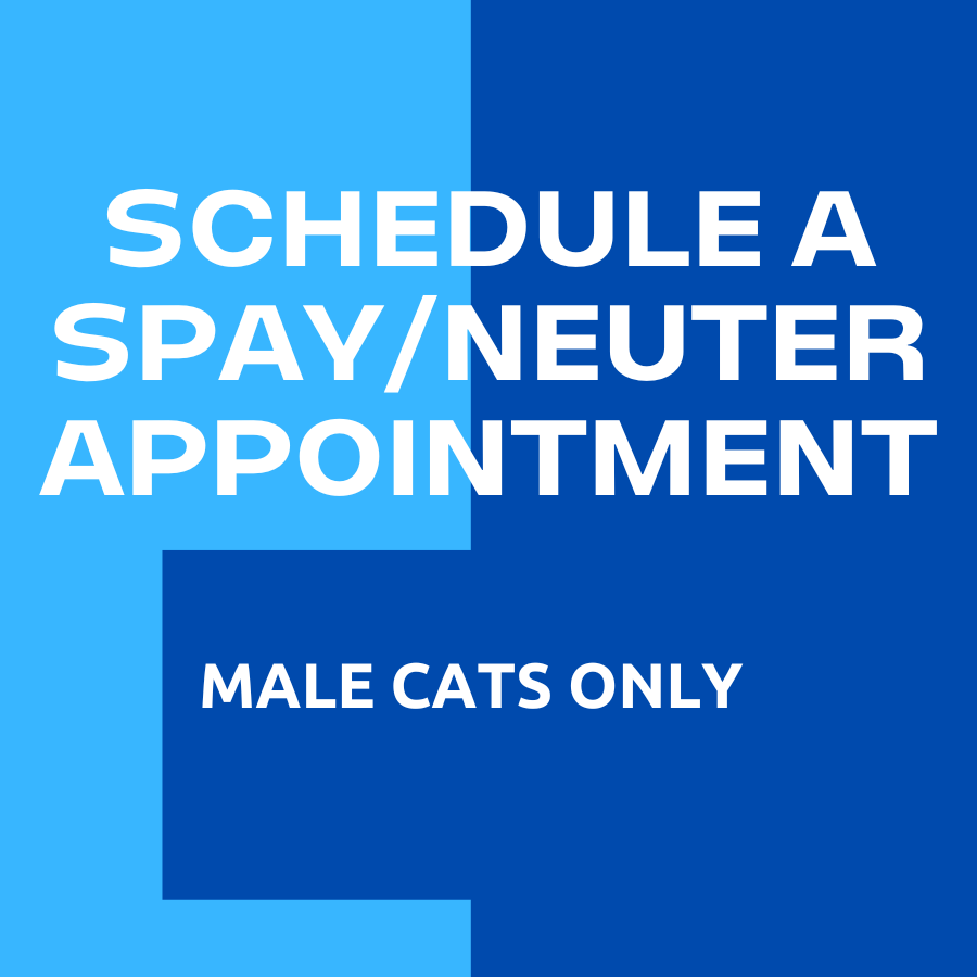 Welcome [www.shelteringhands.org]