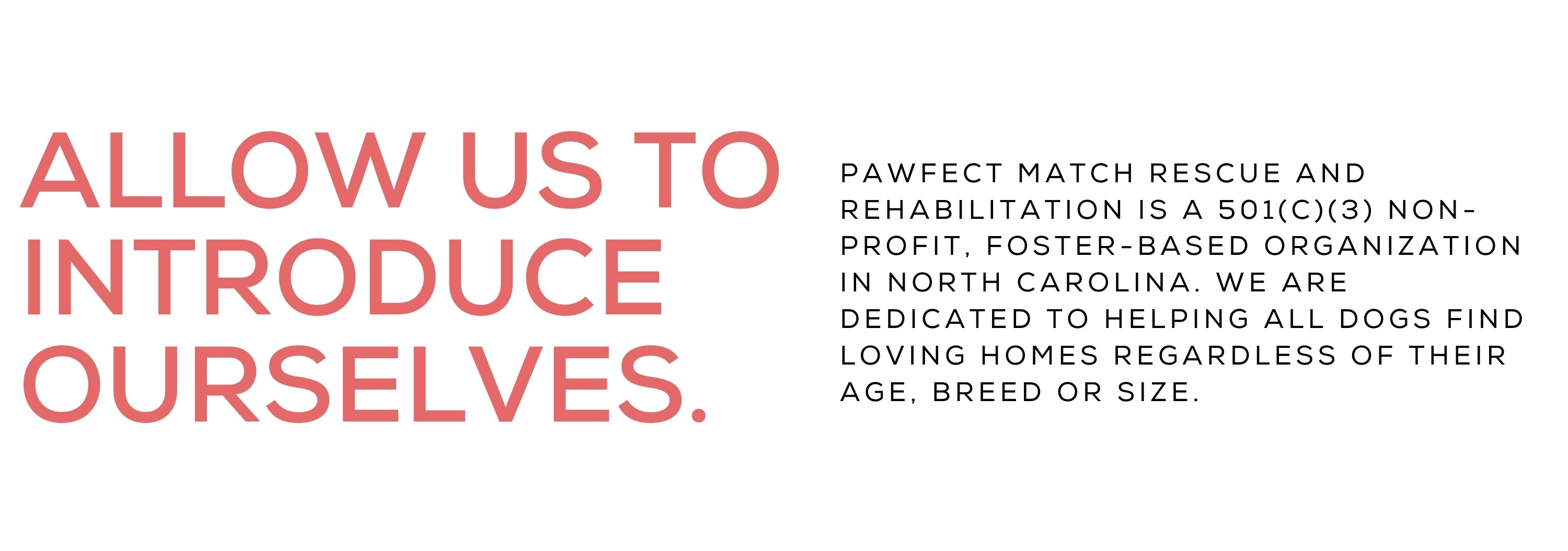 Pawfect Match Rescue and Rehabilitation
