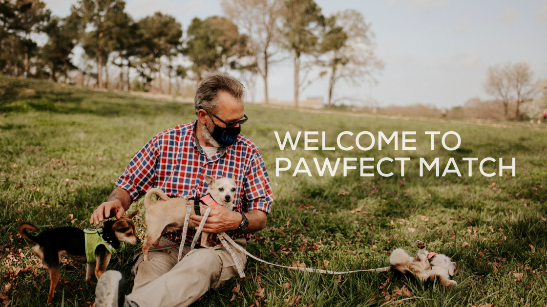 Pawfect Match Rescue and Rehabilitation