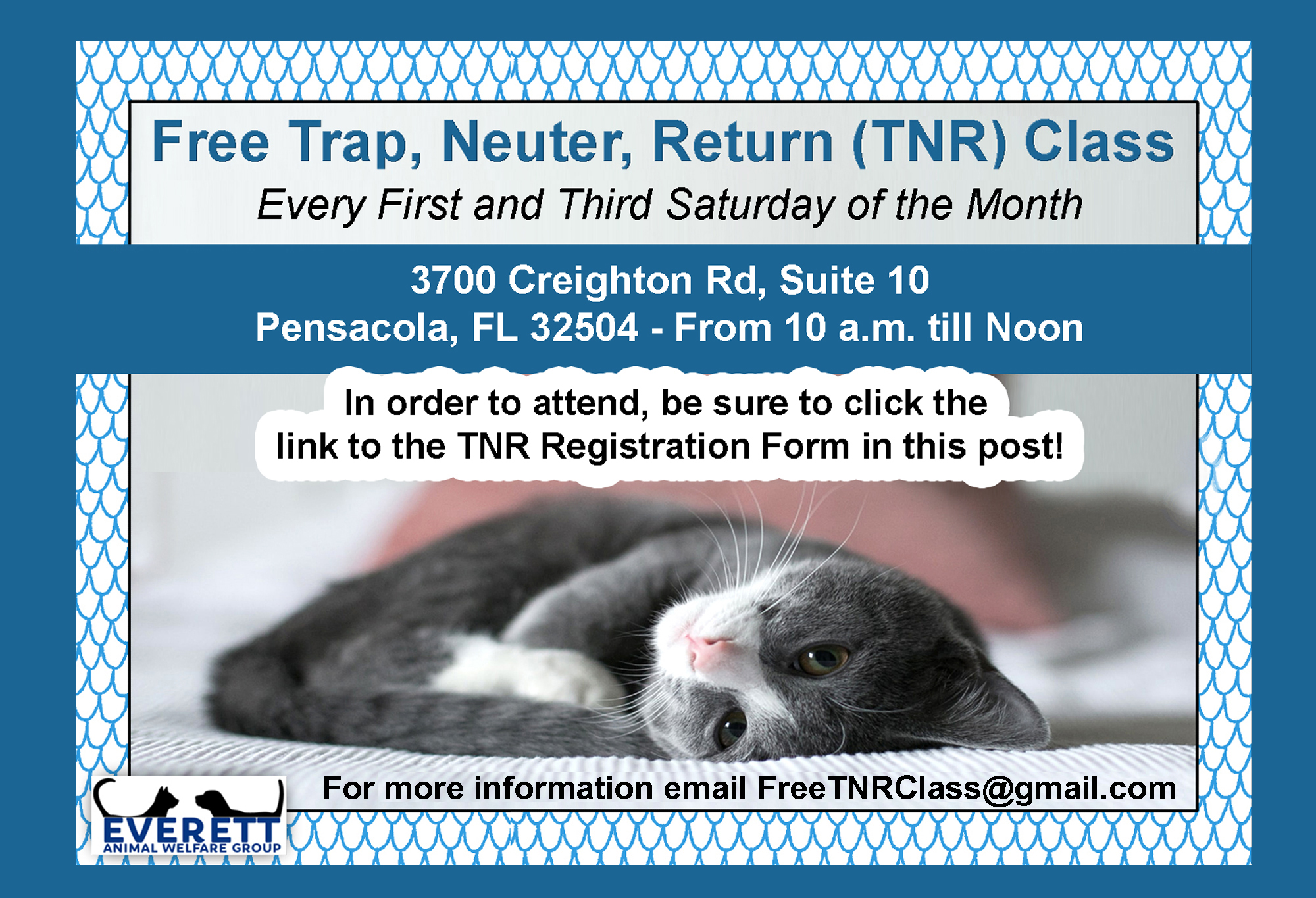 TNR Class Schedule