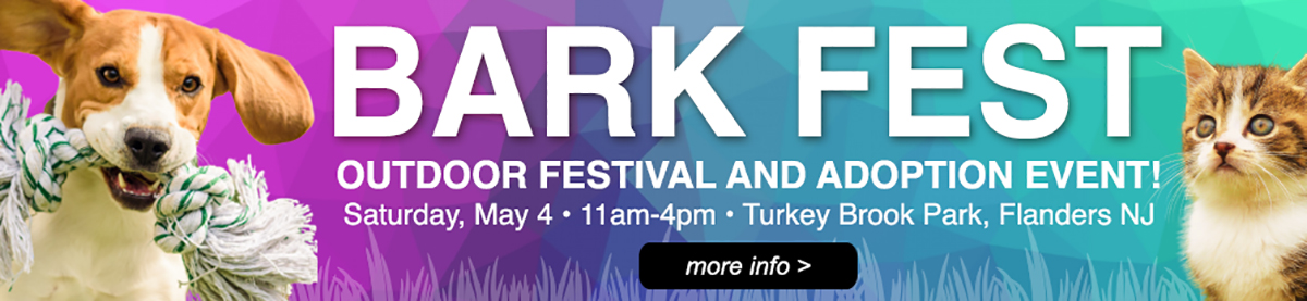 Eleventh Hour Rescue | Morris County NJ