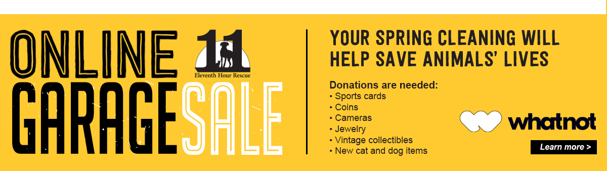 Eleventh Hour Rescue | Morris County NJ