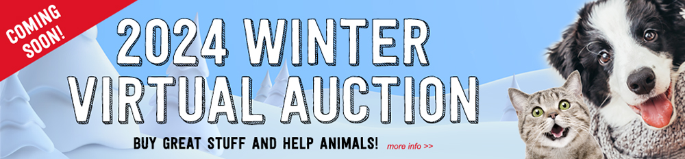 Eleventh Hour Rescue | Morris County NJ