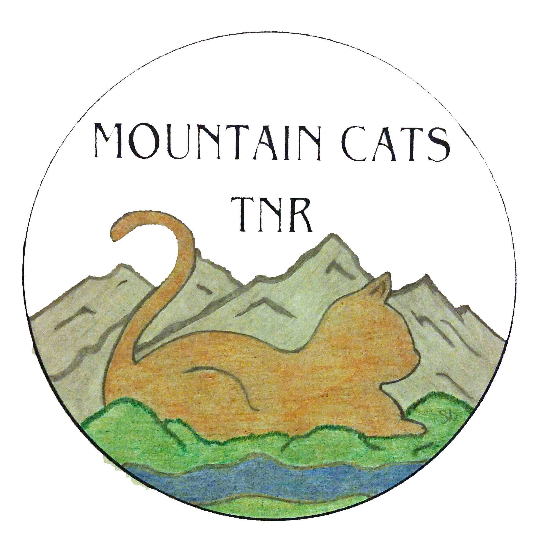 Welcome [www.mountaincatstnr.com]