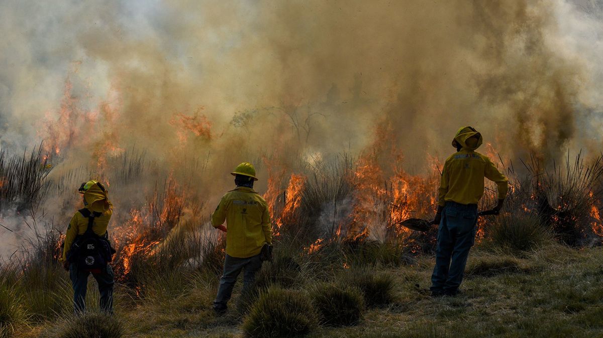 CN Media | Fire on the rise: forest fires in protected areas in Mexico
