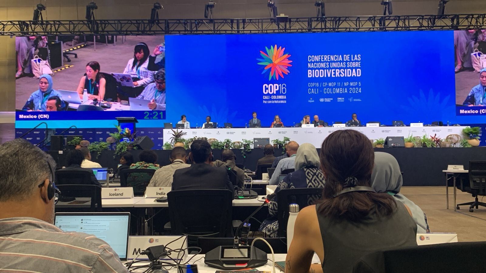 CN Media | Preserving native corn in the face of GMOs and patents: a conversation from Mexico at ...