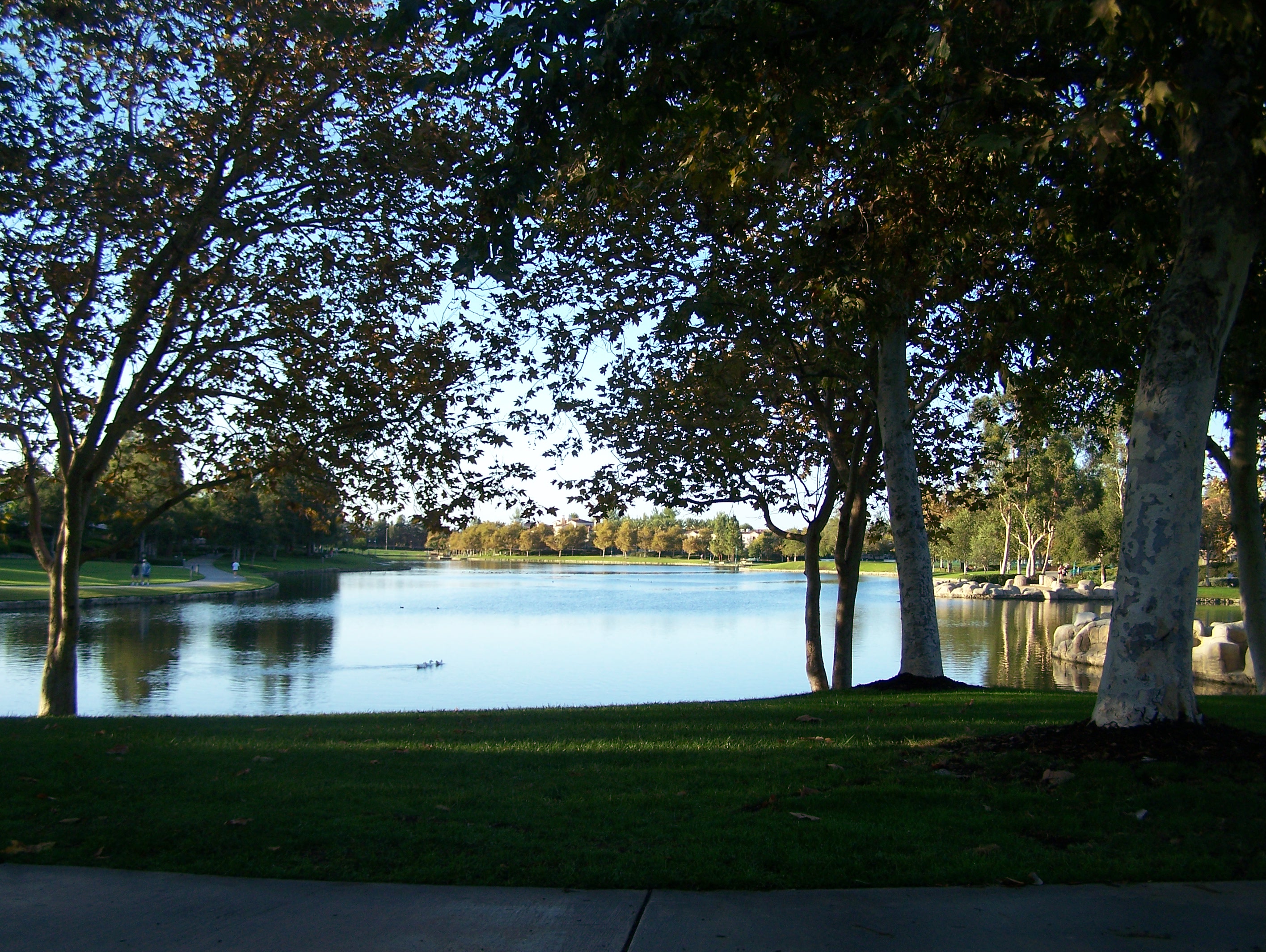 Rancho Santa Margarita Lake Homes For Sale at Eve Collie blog