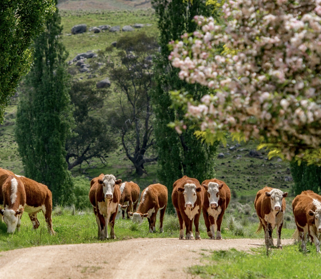Understanding rural distances | thats real estate with Matt Wineera