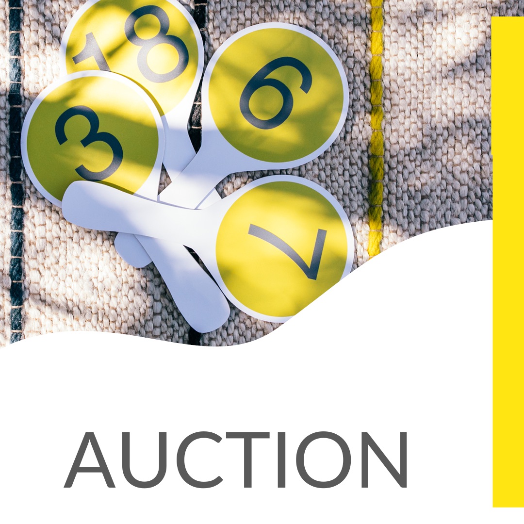 How to succeed at auction | thats real estate with Matt Wineera