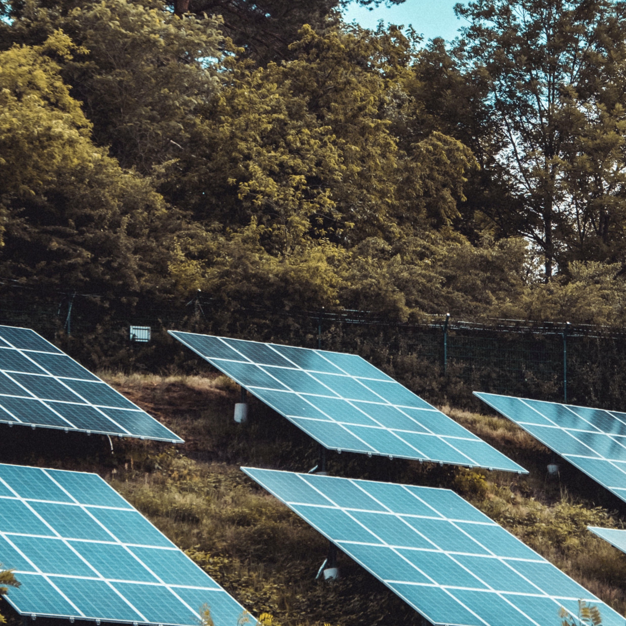 Why community microgrids are the future for renewables | thats real ...
