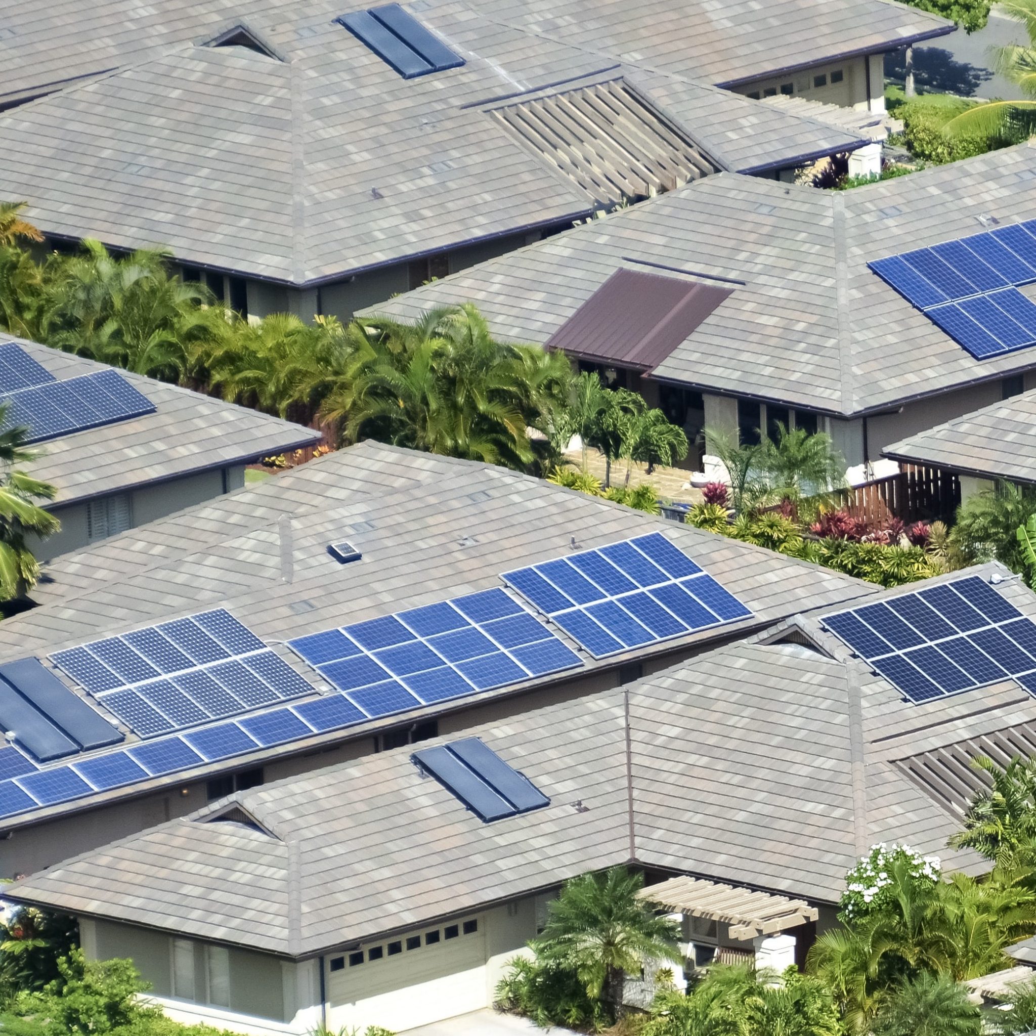 Why community microgrids are the future for renewables | thats real ...
