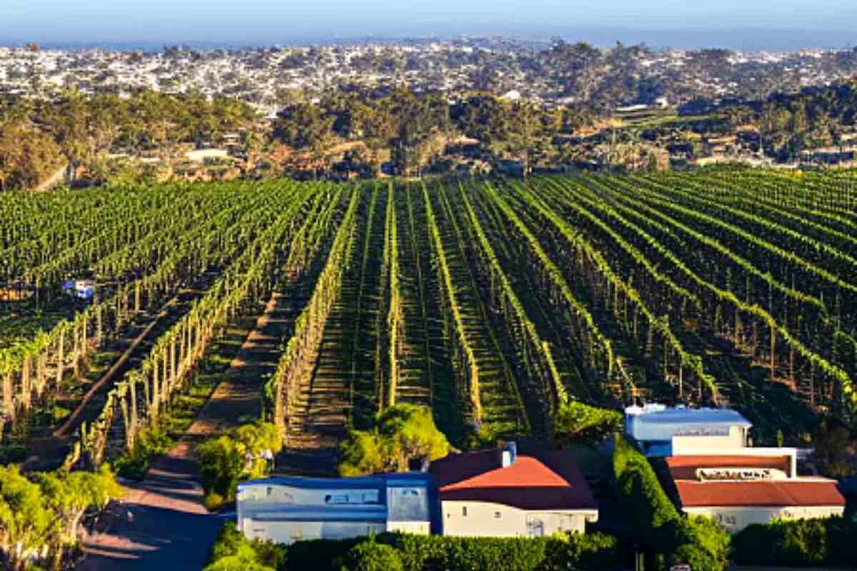 Fallbrook | The Blisss Life Agency