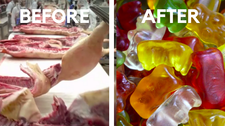 This Is How Gummy Candies Are Made (Shocking!)