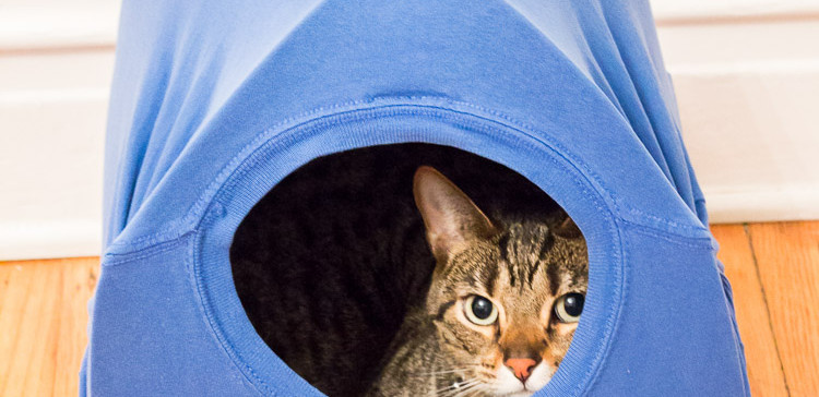 Diy Cat Tent Out Of An Old T Shirt