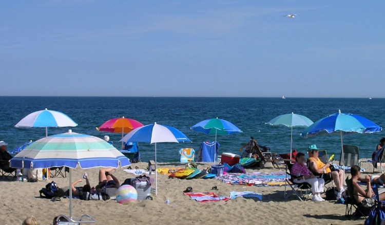 Experts Share Their Thoughts on the Risks of Popular Summer Activities