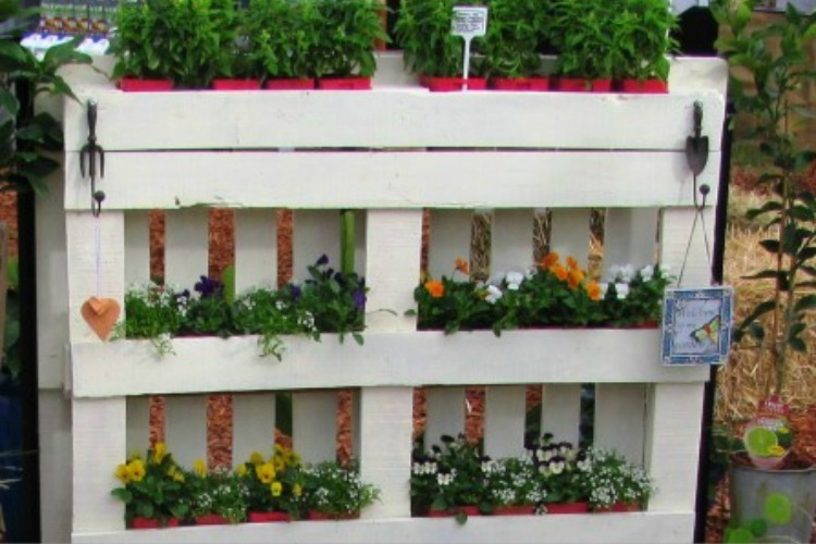 15 Genius Ways to Pot Plants without Planters