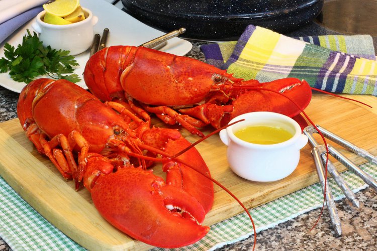 17 Pics that Mean You’ll Never Forget These Facts Again