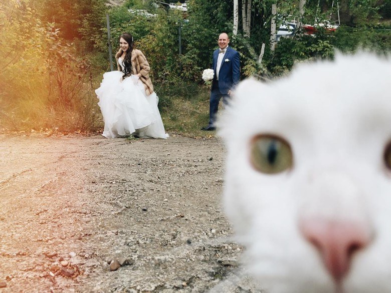 Here Are 23 Photobombs That Made These Wedding Photos Even Better