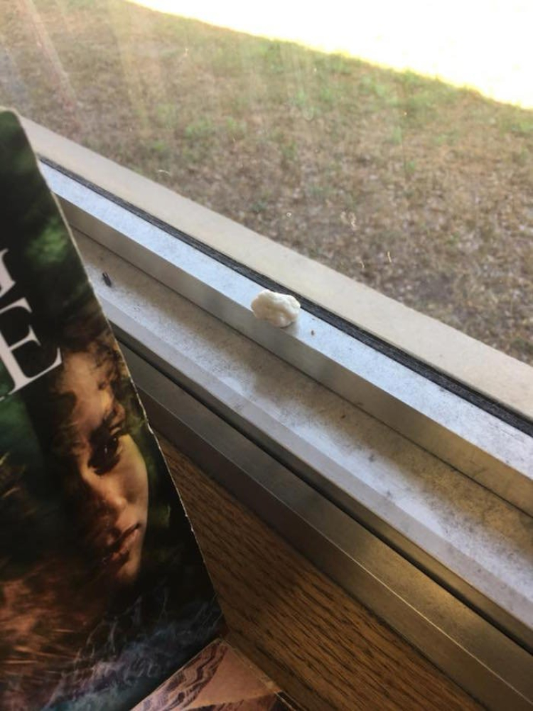 Ex-Teacher Goes Off on Parents Who ‘Coddle and Enable’ Their Rude and ...