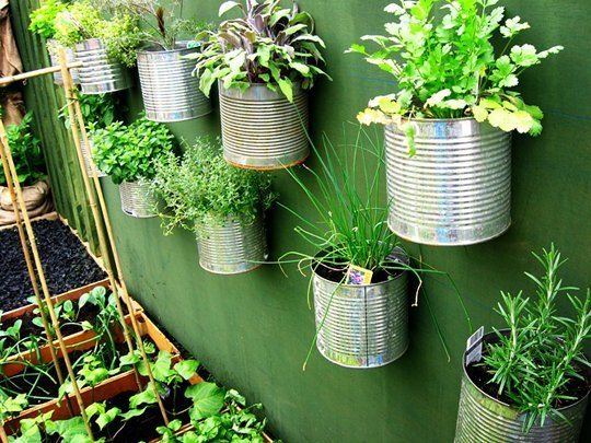 15 Genius Ways to Pot Plants without Planters