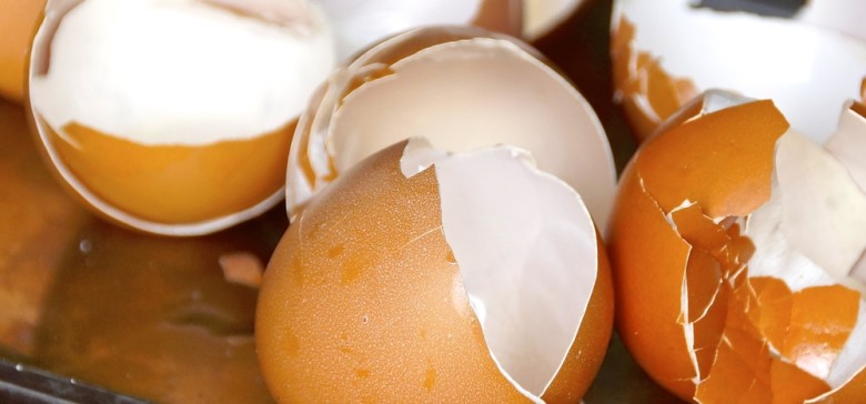 Here Are 15 Ways You Should Start Using Egg Shells