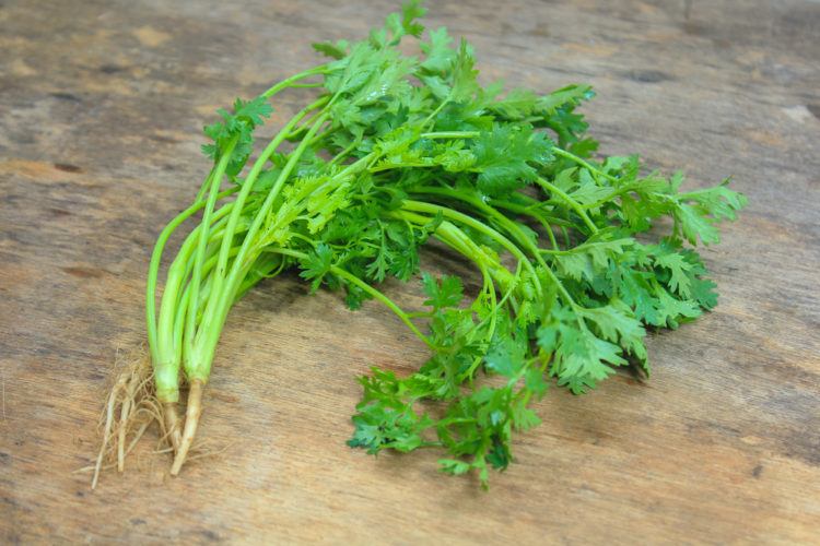 The Real Reason Why Some People Hate Cilantro