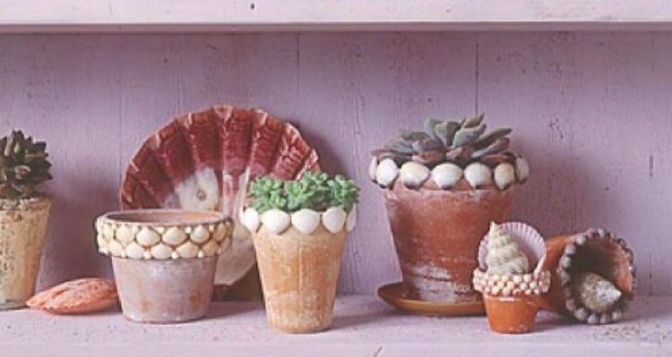 15 Creative Ways To Use Seashells At Home