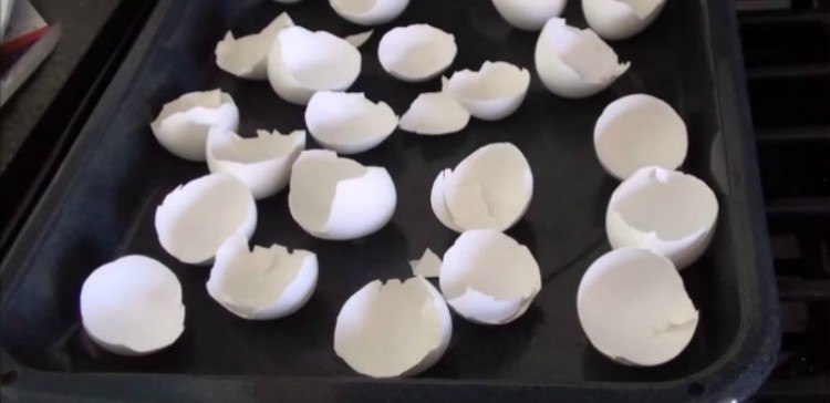 How To Make Calcium Powder Out Of Eggshells