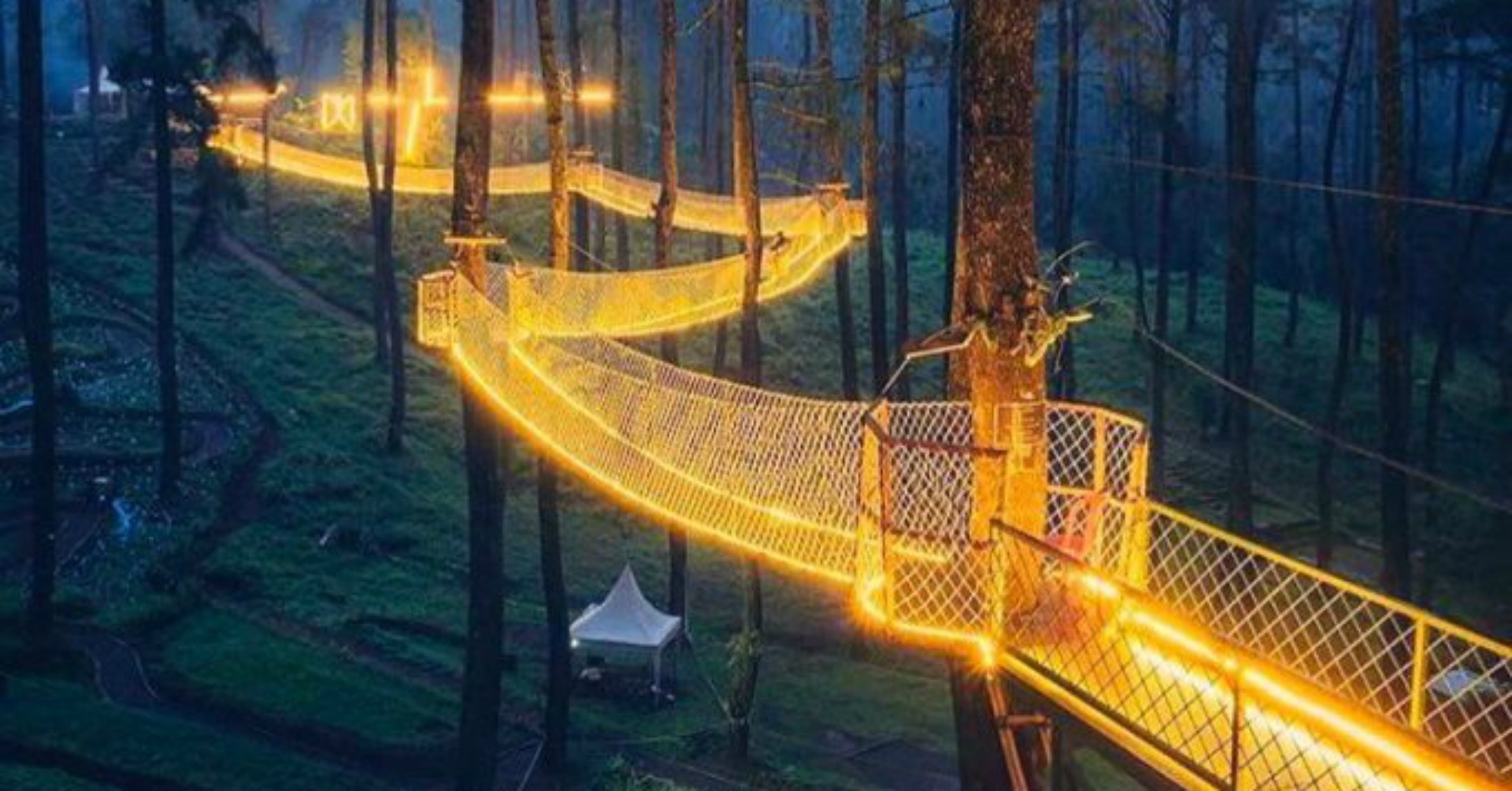 You Can Walk More Than 800 Feet on This Tree-Based Bridge In Tennessee ...