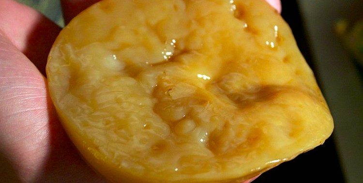 9 Unpopular Foods and Why You Should Start Eating Them