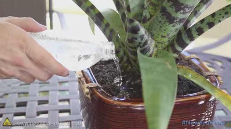 How To Turn Diapers Into DIY Gardening Gel