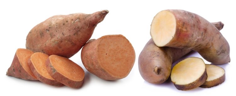 The Difference Between Yams and Sweet Potatoes